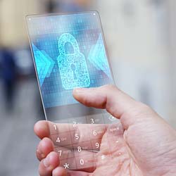 The Four Stages of Digital Workplace Security | Bizquip