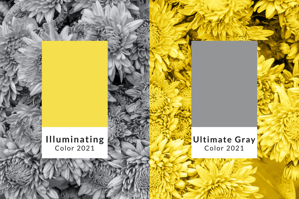 Pantone's Illuminating Yellow, A Colour That Mirrors The Awakening of ...