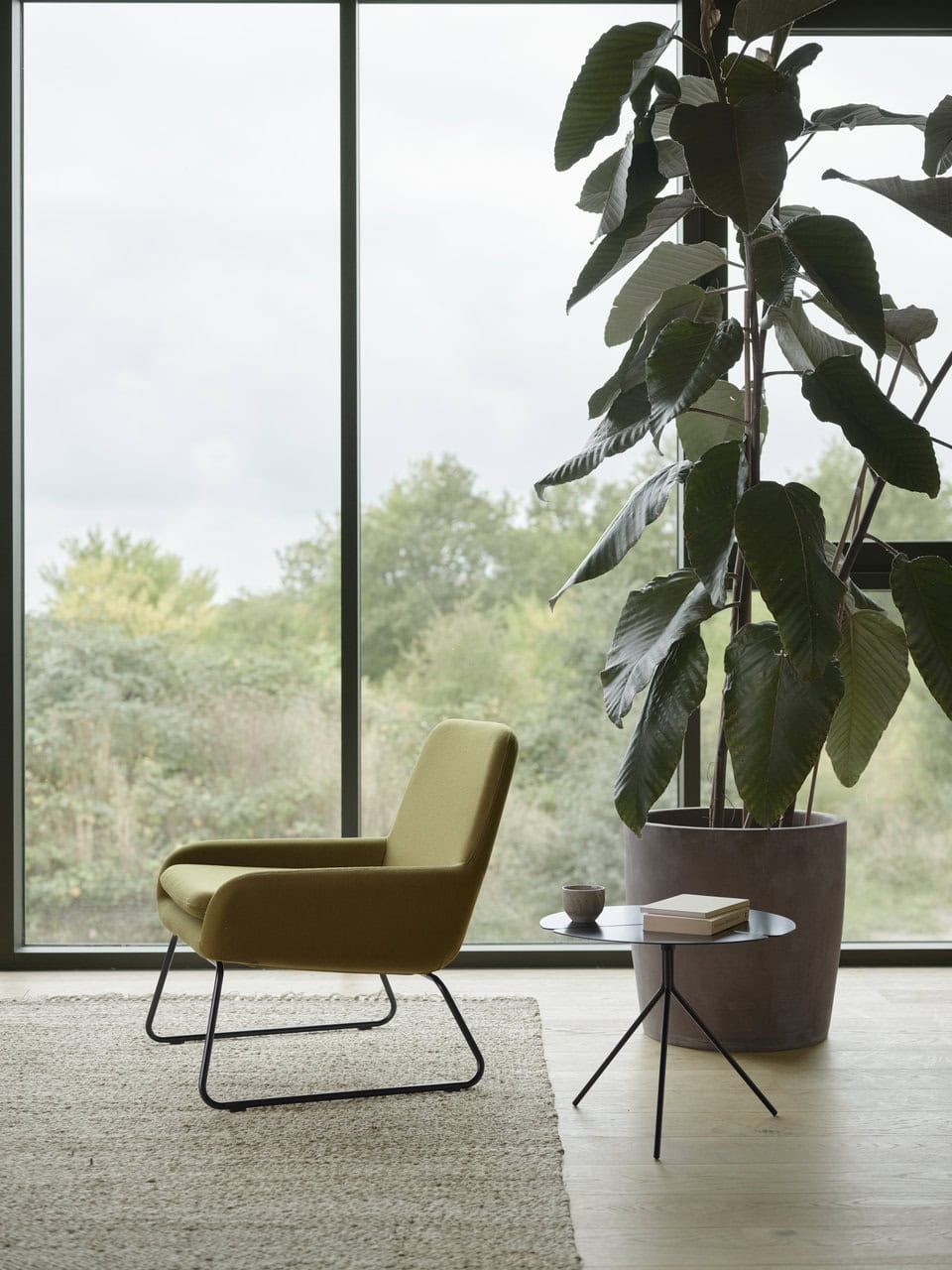 Softline Lounge Chairs Collection 2025 - Bizquip